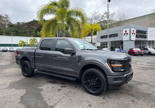 Ford F-150 325473 Somos Alberic Colon Puerto Rico, Contigo en todo camino